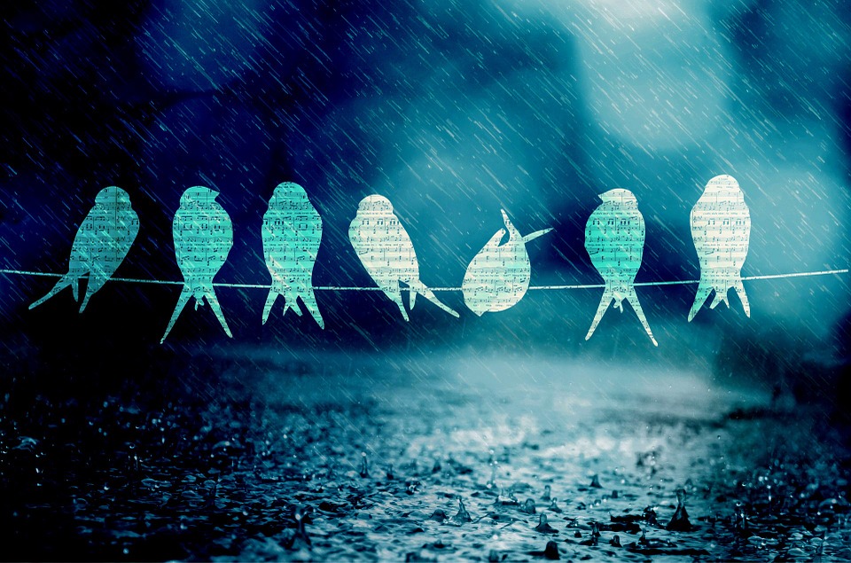 circa waves - let's leave together lyrics | azlyrics.biz